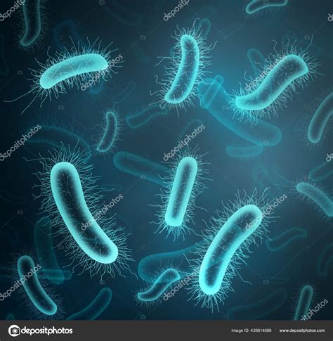 Imágenes De Bacterias Al Microscopio