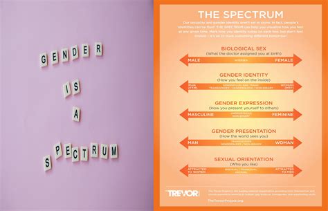 Topic 1 Understanding Gender Identities Tshirt Platform