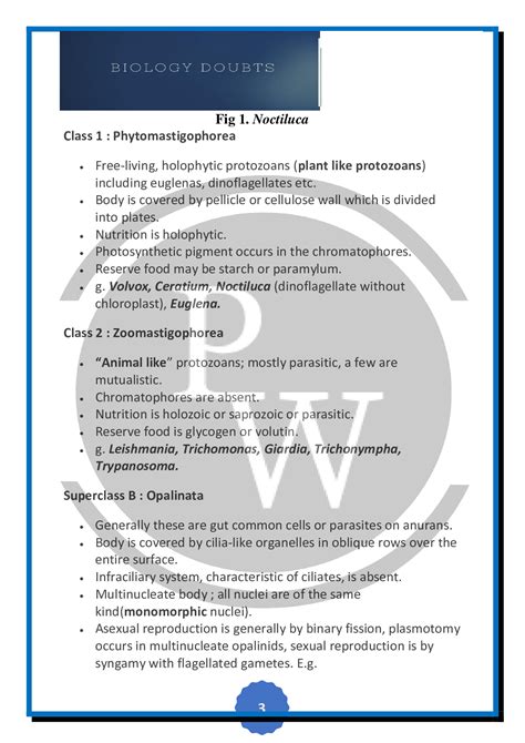 Classification Of Phylum Protozoa And General Characters Physics Wallah