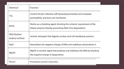 Different Techniques And Methods Of Dna And Rna Isolation Pdf