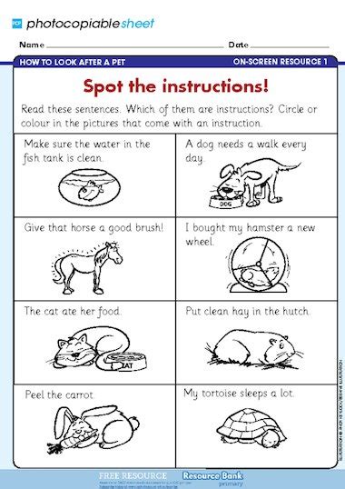 Spot The Instructions Free Primary Ks1 Teaching Resource Scholastic