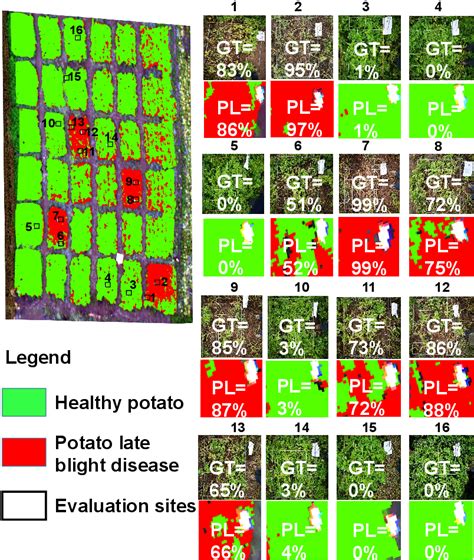 Figure 1 From A Novel Cropdocnet For Automated Potato Late Blight Disease Detection From The