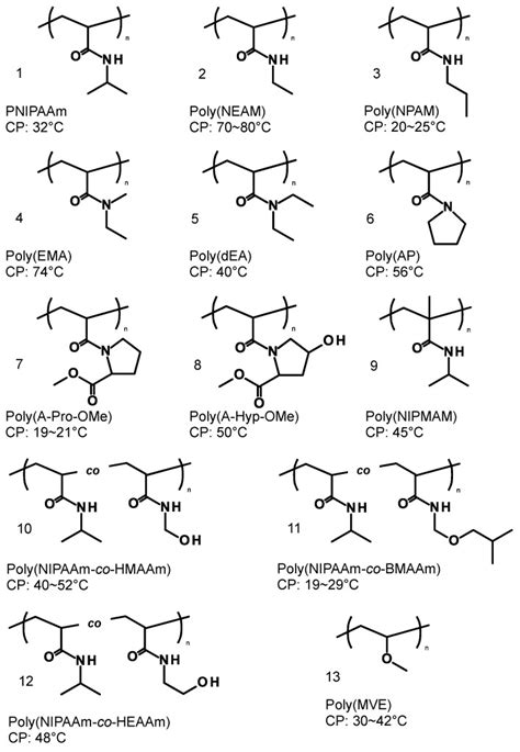 Recent Advances In Dual Temperature Responsive Block Copolymers And