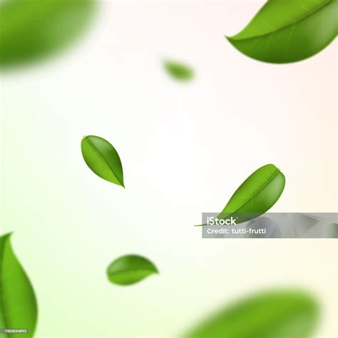 흰색 배경에 녹차 잎의 벡터 3d 그림입니다 차 제품의 디자인 요소 날기에 대한 스톡 벡터 아트 및 기타 이미지 날기 잎차 3차원 형태 Istock