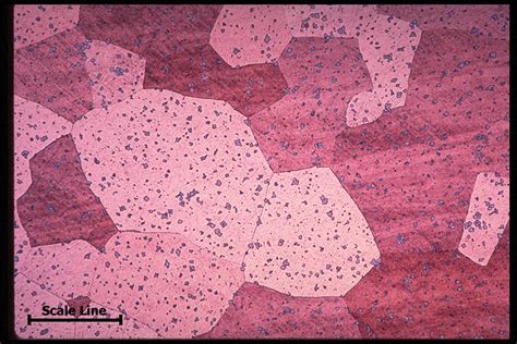 Resources Standards And Properties Copper And Copper Alloy Microstructures Brasses