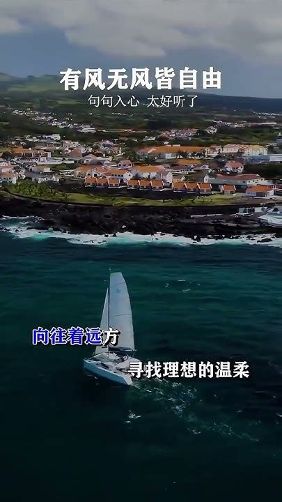 心若無所求有風無風且自由，向往著遠方，尋找理想的溫暖，平凡日子中，不爭不奪不憂愁，行走人海中，做個某某某 有風無風皆自由 傷感音樂 熱門音樂 音樂 音樂分享 Youtube