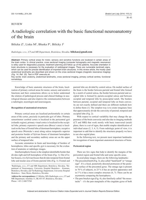 Pdf A Radiologic Correlation With The Basic Functional Neuroanatomy Of The Brain