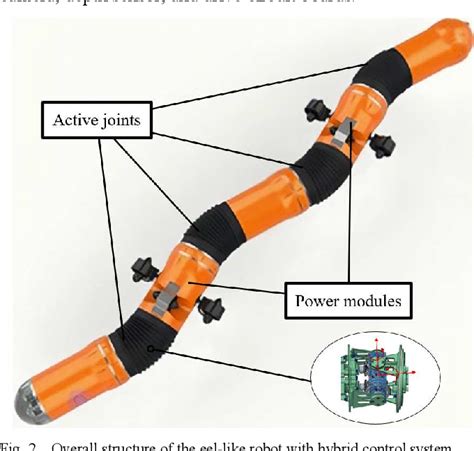 Figure 1 From Modeling And Simulation Of An Eel Like Robot With Hybrid Control System Semantic