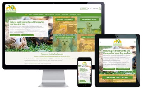 Woocommerce Web Design New Websites Redesigns Support