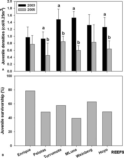Spatial And Temporal Variability In Overall Mean Juvenile Densities