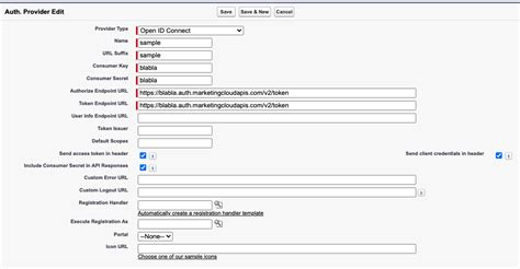 Namedcredentials Setup The Name Credential And Auth Provider For