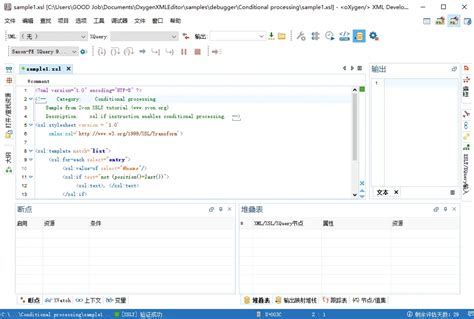 Oxygen Xml Developer 软件 官方授权正版软件平台