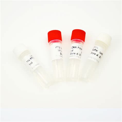 Pfu Dna Polymerase Mebep Bio Science