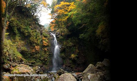 大棚の滝 富士市観光ガイド駿河湾百景
