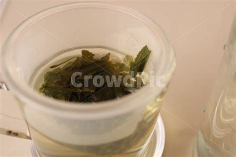 차 녹차 따뜻한차 유리잔 찻잎 사진이미지일러스트캘리그라피 다망작가