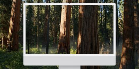 Public Beta 3 Now Available For MacOS Sequoia IPadOS 18 More 9to5Mac