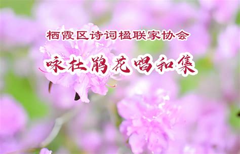 栖霞区诗词楹联家协会咏杜鹃花唱和集 南京诗词学会