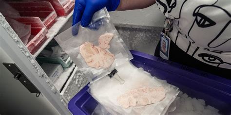 Ot Human Brain Mapping Project Milestone Macro Economic Trends And Risks Motley Fool Community