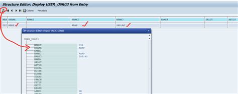 function module to get user details sapcodes