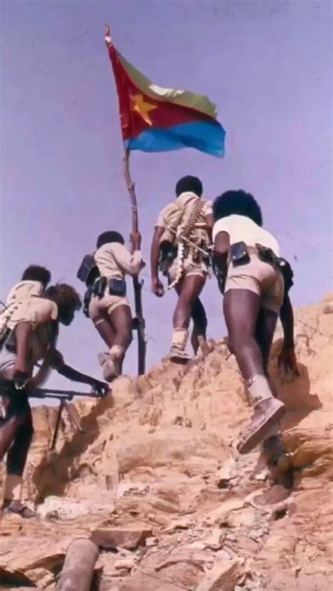Eritreansays On Instagram 🇪🇷eritrea 31th Independence Day 🇪🇷 🥳 🏾♥️