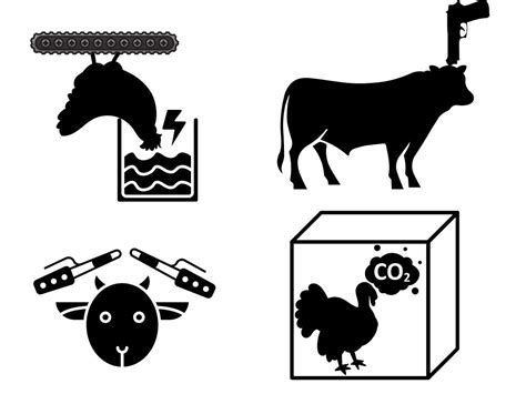 Our Stance On Stunning In Meat Processing Halal Foundry
