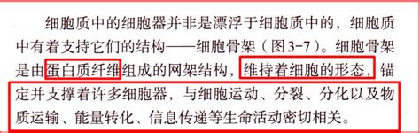 用科学实例告诉你：细胞骨架与各种生命活动的关系 过程 蛋白 运输