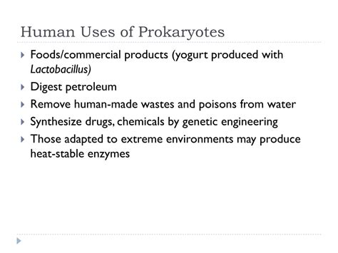Ppt Exploring Prokaryotes Diversity Structures And Functions