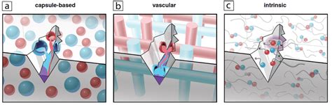 Approaches To Self Healing Of Materials A Capsule Based B