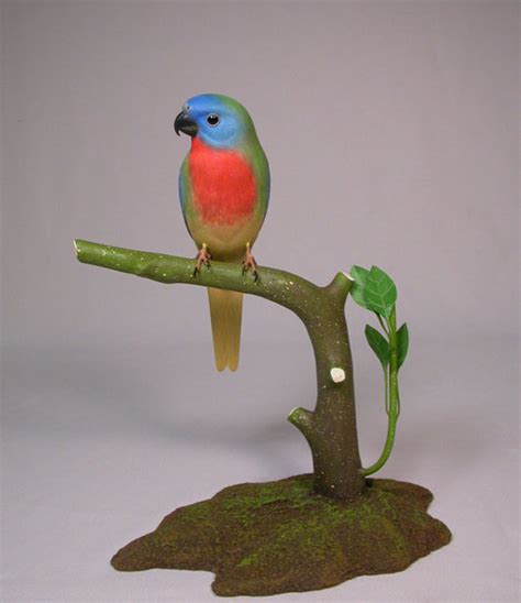 Splendid Grass Parakeet Birdhug Studio