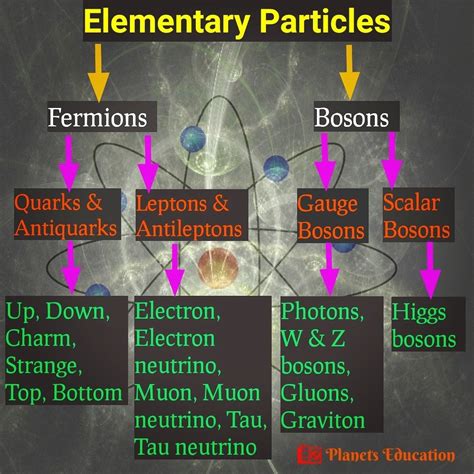 Types Of Elementary Particles Elementary Particle Theoretical