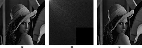 perceptual redundancy of high frequency visual signal components a