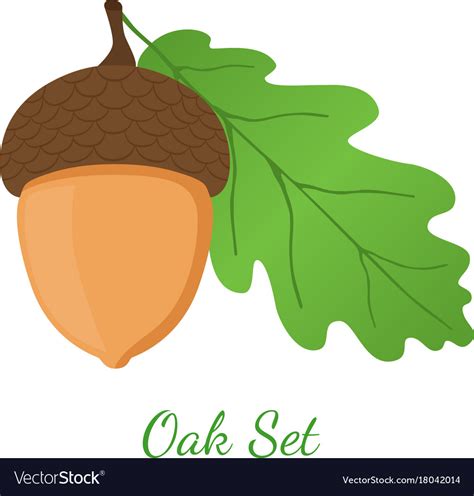 Acorn Leaf Oak Nut Seed Cartoon Style Royalty Free Vector