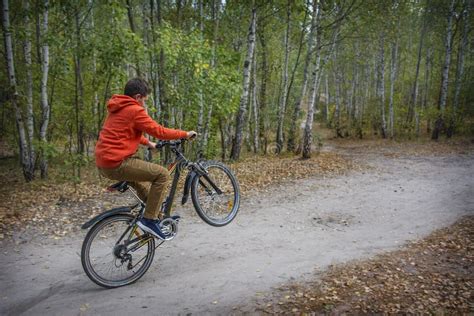В осеннем лесу яркий солнечный мальчик катается на велосипеде Стоковое Изображение изображение