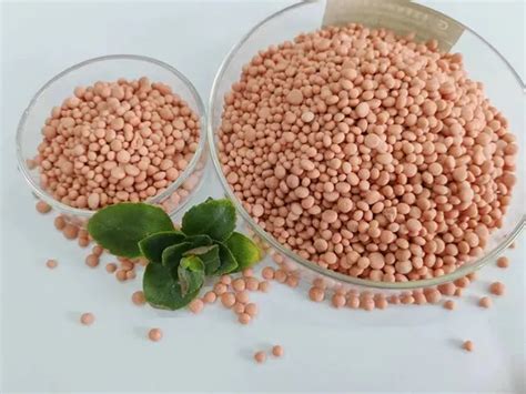 Balanced Soil Food Granular Form For Vegetable And Fruits Npk