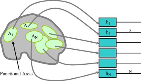[pdf] Fmri Pattern Classification Using Neuroanatomically Constrained Boosting Semantic Scholar