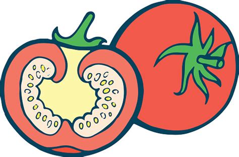성인과 어린이 위한 페이지 손으로 그린 그림을 색칠 한 토마토 색칠 공부 책 섬유 인쇄 포스터 디자인에 대 한 벡터 예술 건강한 생활방식에 대한 스톡 벡터 아트 및 기타