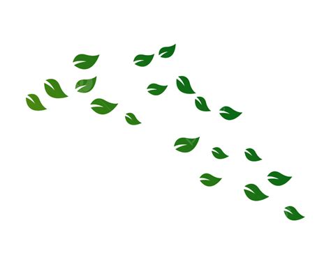 Set Desain Ilustrasi Vektor Template Latar Belakang Daun Abstrak Botani Daun Logo Png Dan