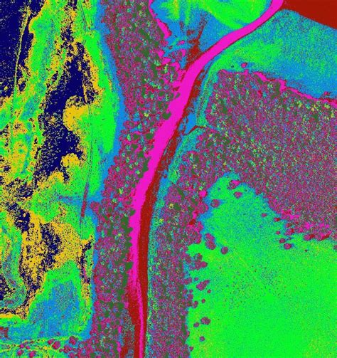 Raster Dataset Output From The Iso Cluster Unsupervised Classification Download Scientific