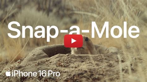 Apple Releases Xcode 16 4 With Support For Swift 6 1 And New Sdks [download] Iclarified