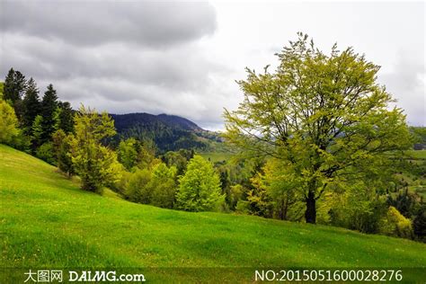 最美绿化风景图片 风景图片最美 九寨沟图片风景图片 大山谷图库