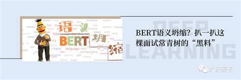 Bio Or Span？谁才是ner任务的天花板——span篇 墨天轮