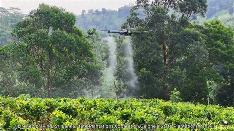 ඩ්‍රෝන තාක්ෂණයෙන් පොහොර ඉසීමේ නව යුගයකට පිවිසෙමු රාජ්‍ය වැවිලි සංස්ථාවේ සභාපතිගේ අදහස් Youtube