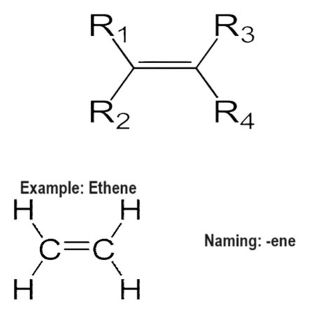 Functional Groups Exam 1 Flashcards Quizlet