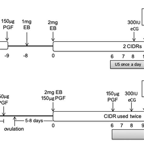 Ovulation Synchronization Protocol Used For Cows In A Experiment 1 Download Scientific