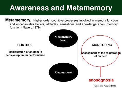 Ppt Metacognition Powerpoint Presentation Free Download Id1039412