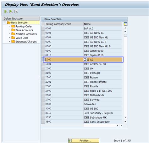SAP FI Automatic Payment Program