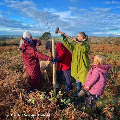 Tree Planting In St Breward CORNWALL FEDERATION OF WOMEN S INSTITUTES
