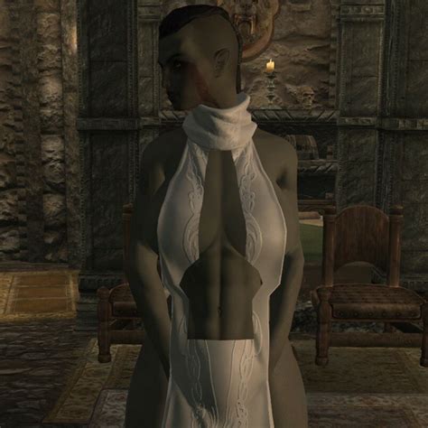 NIND Completed CBBE Conversion Projects Introduction To Modding With NIND LoversLab