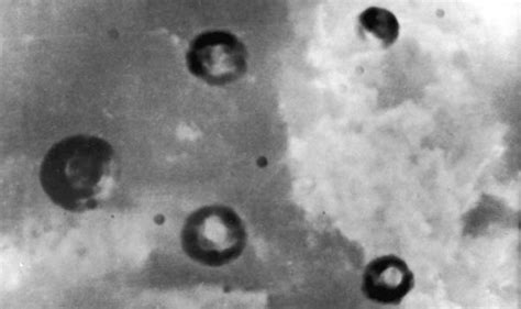 Ten Things You Never Knew About Spacecraft Uk