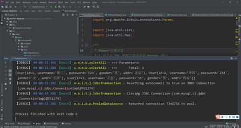 java 程序包org apache ibatis annotations不存在报错解决 java 脚本之家